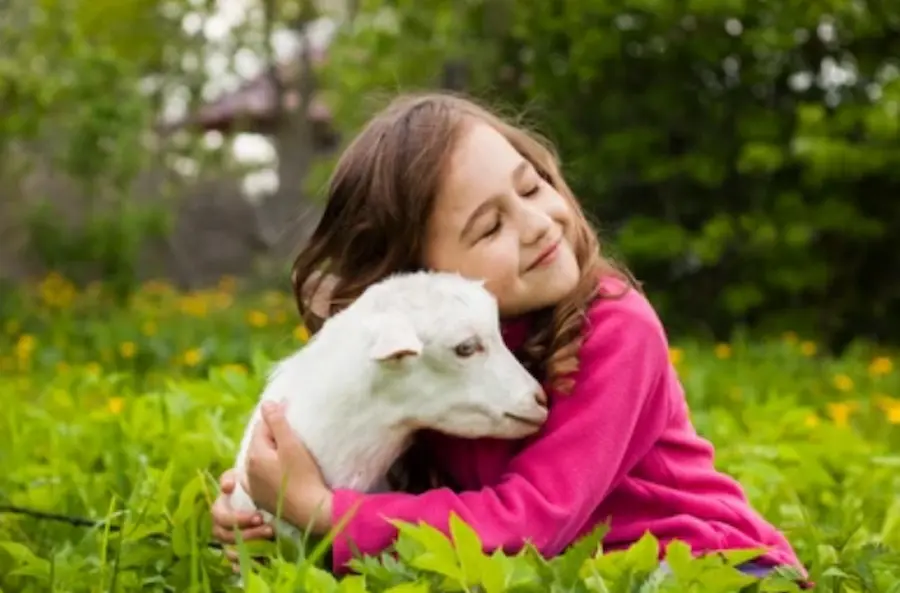 Fundamentals Of Therapeutic Farm - Digital Business Time