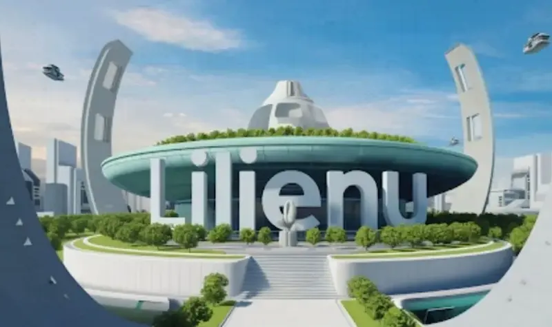 What Is Lillienu And Why It Matters - Digital Business Time