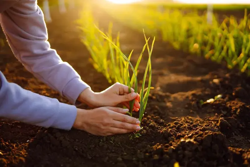 Simple Steps To Identify The Best Environmental Services For Your Needs ...